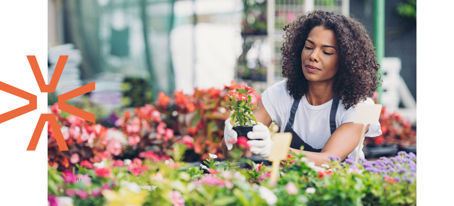 Adhérer à VERDIR - Verdir